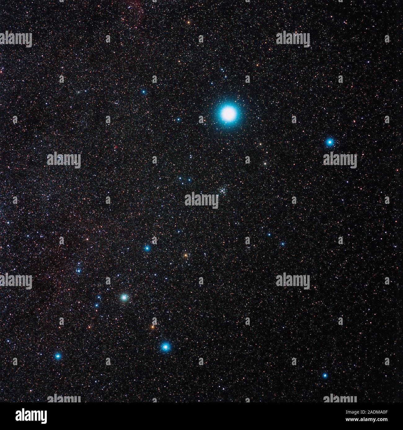 Canis Major constellation. Optical image of the constellation Canis ...