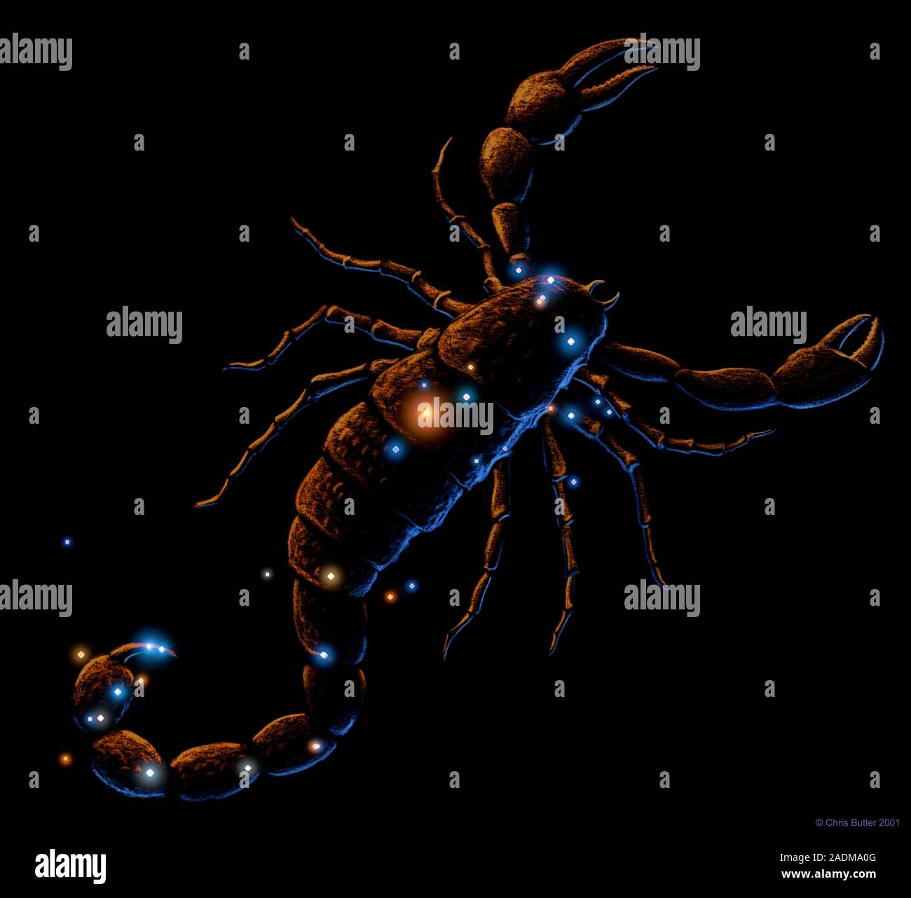 Scorpius. Artwork of the large zodiacal constellation Scorpius, the ...