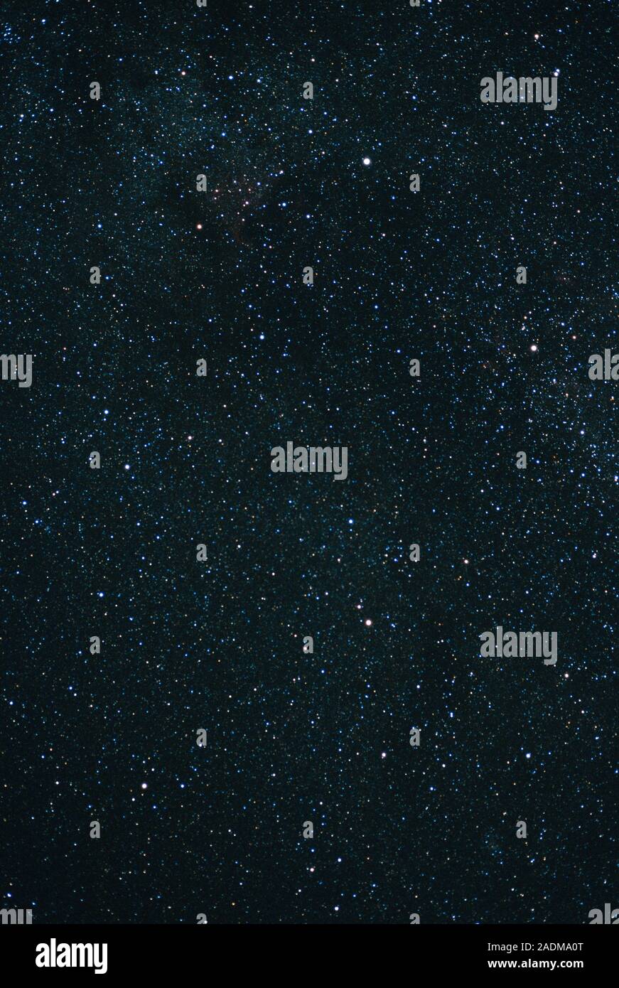 Cygnus constellation. Optical image of the northern constellation of ...