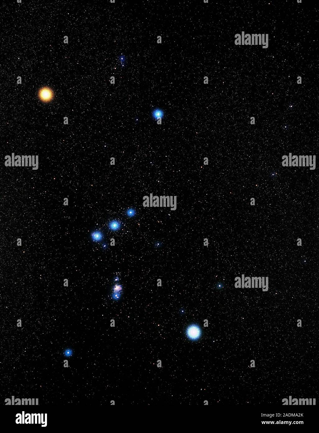 Orion constellation. The most prominent feature of the constellation is ...