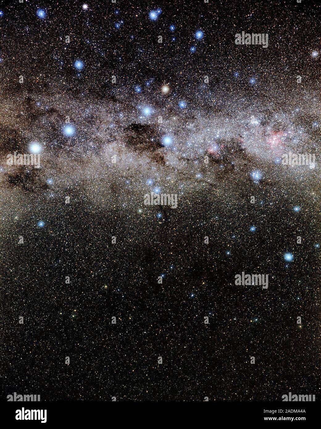 Crux constellation and the southern celestial pole. Crux, the southern ...
