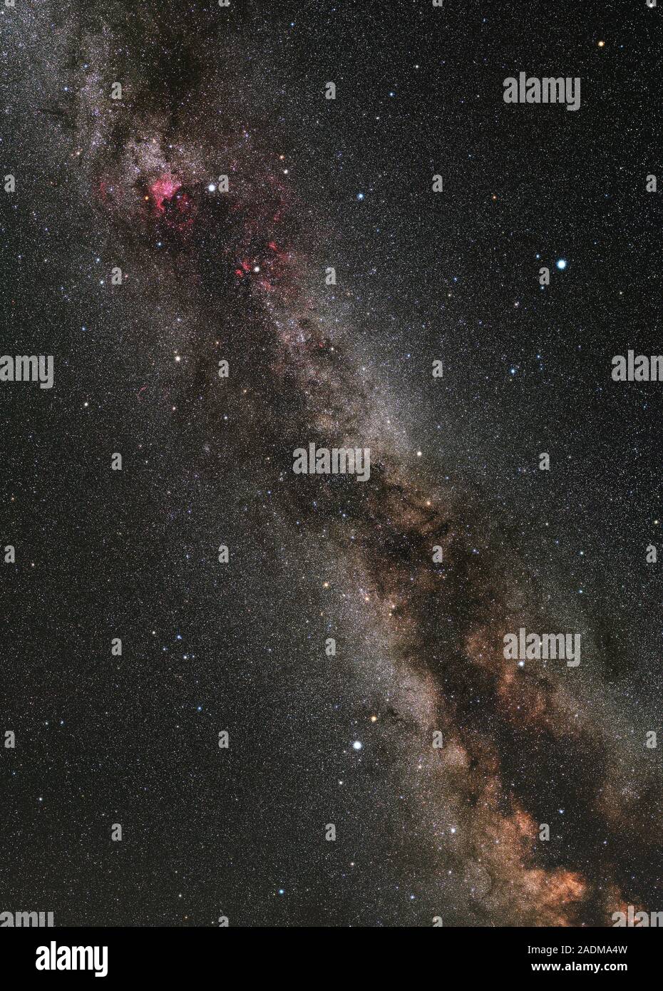 Cygnus, Lyra and the Great Rift, optical image. The constellation ...