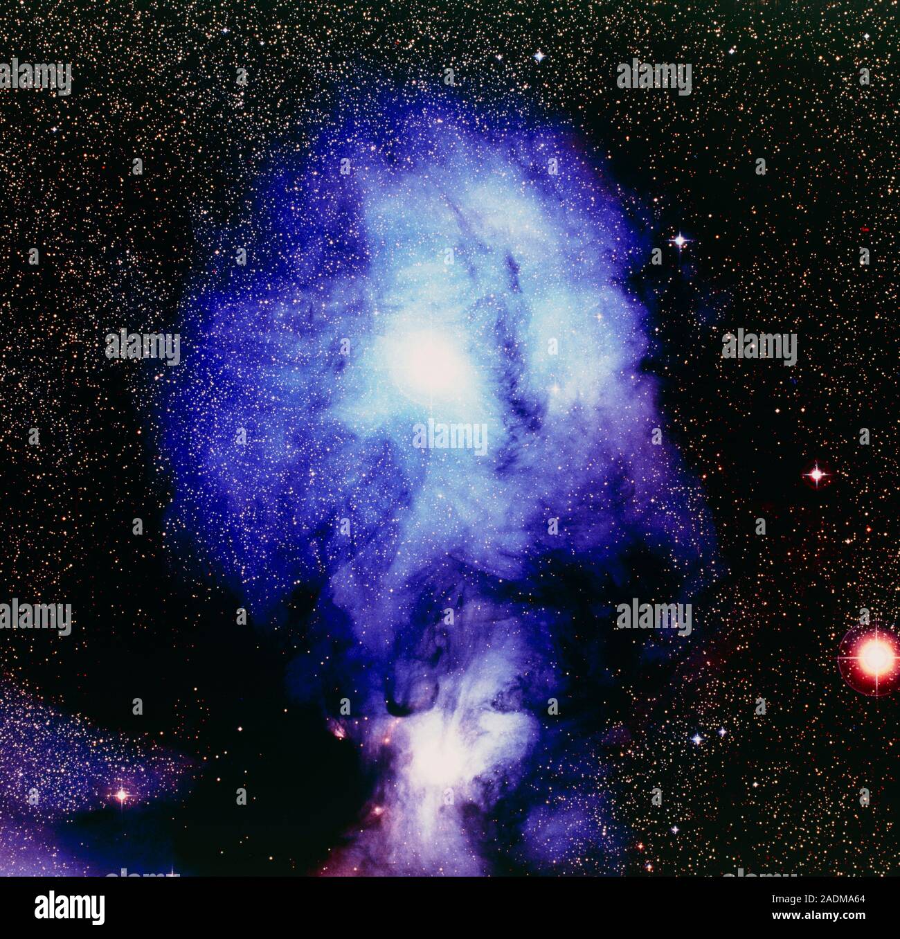 Rho Ophiuchi nebula. True-colour optical image of nebulosity (IC 4604 ...