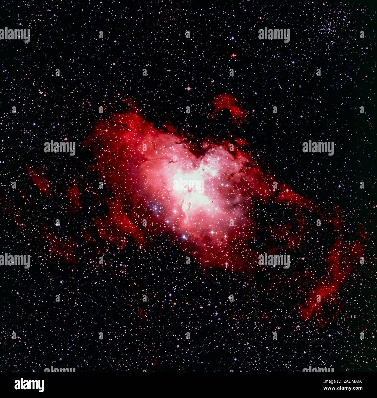 Eagle nebula. True-colour optical image of the Eagle nebula (M16, NGC ...