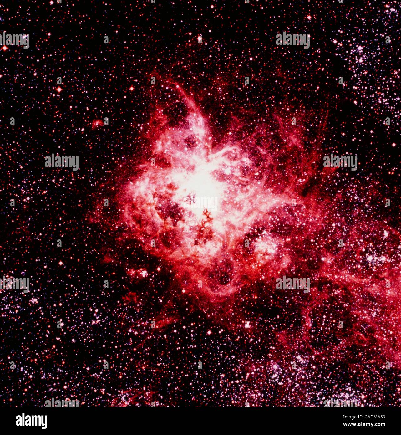 Tarantula nebula. True-colour optical image of the Tarantula nebula ...
