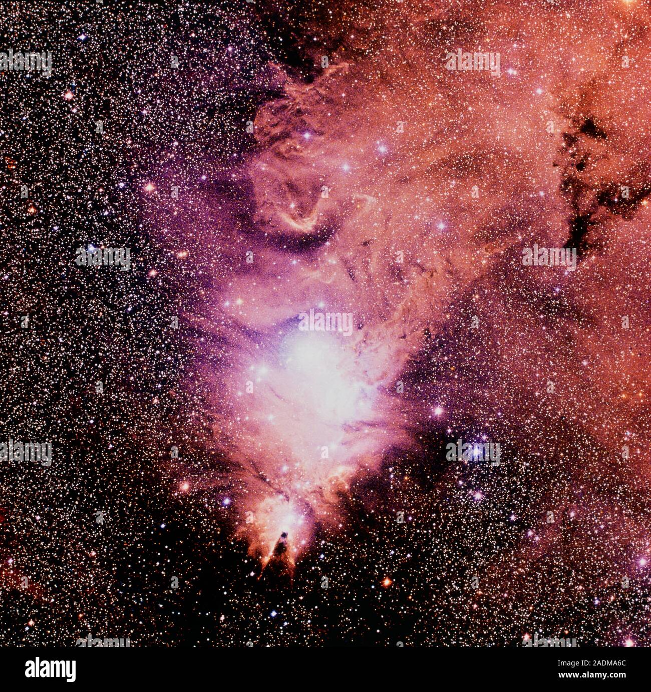 Cone nebula. True-colour optical image of the Cone nebula in the ...