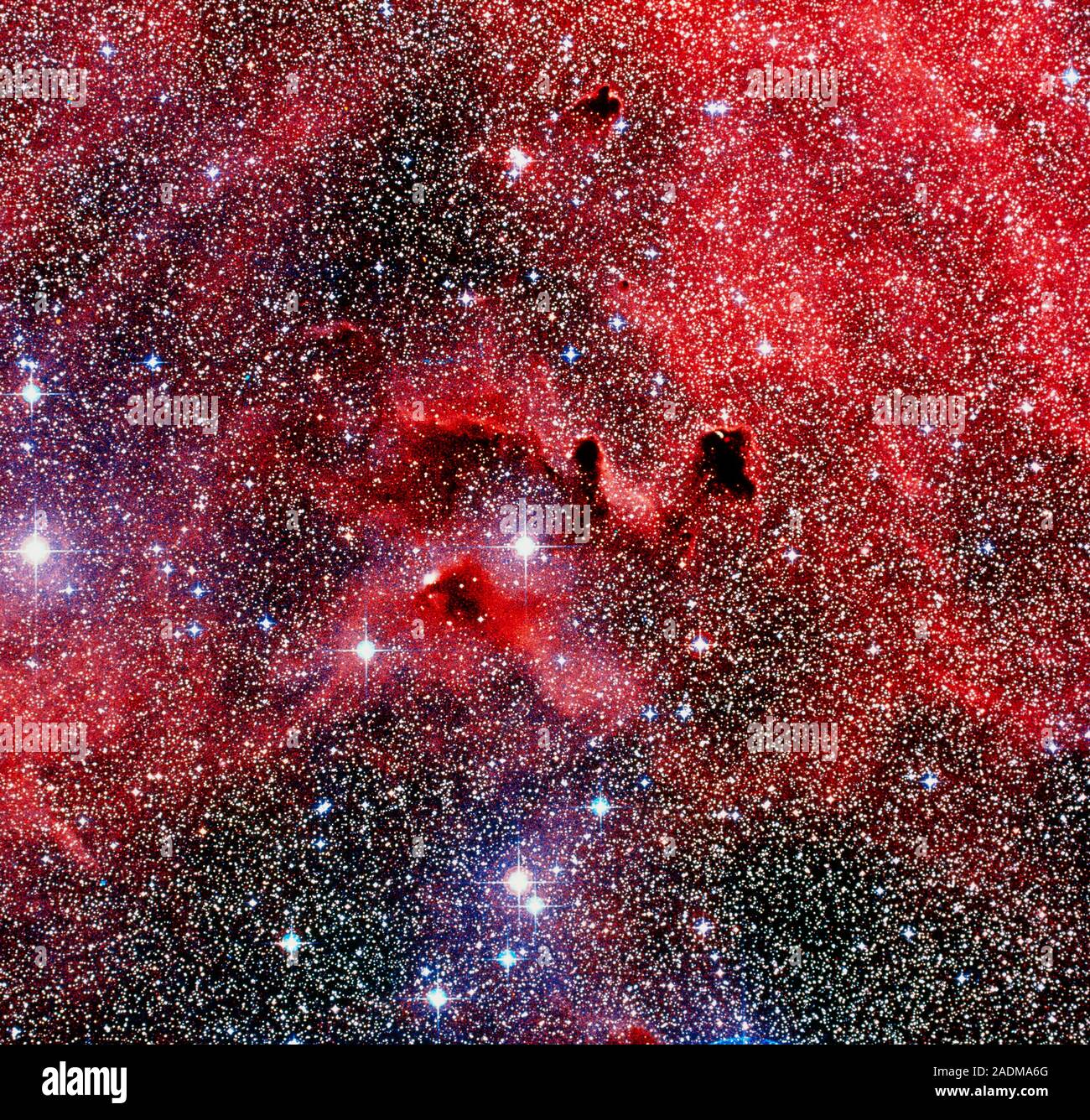 Dark nebula on Gum nebula. True-colour optical image of a dark nebula ...