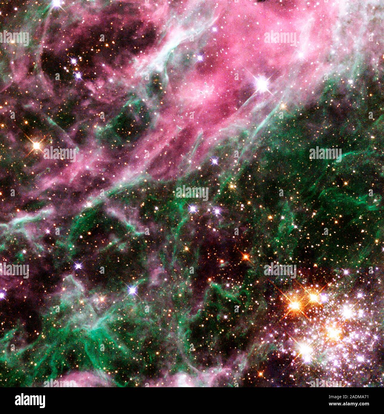 Tarantula nebula. Hubble Space Telescope (HST) image of filaments of gas in the Tarantula Nebula ...