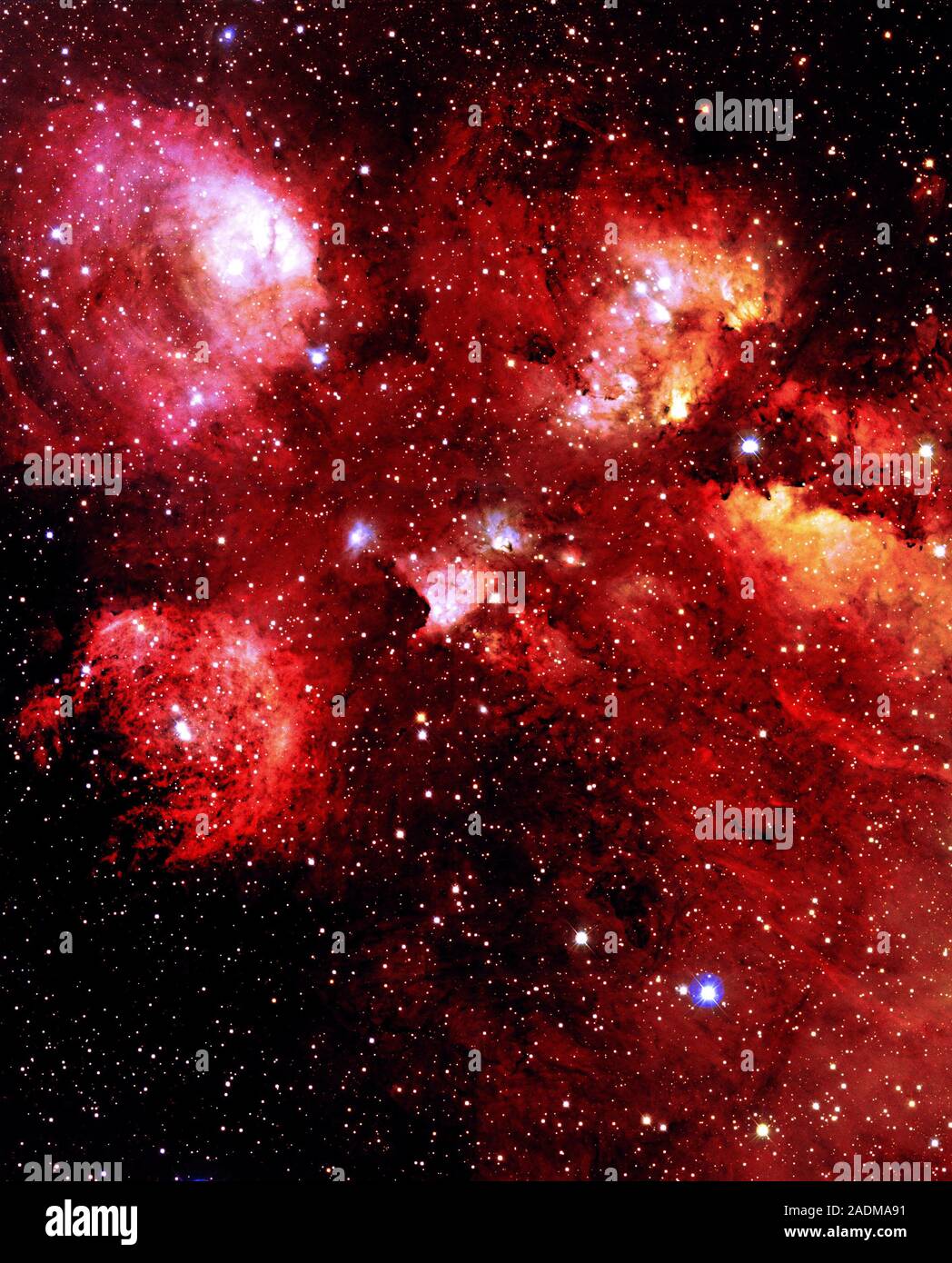 Bear Claw Nebula. Optical image of the Bear Claw Nebula (NGC 6334 ...