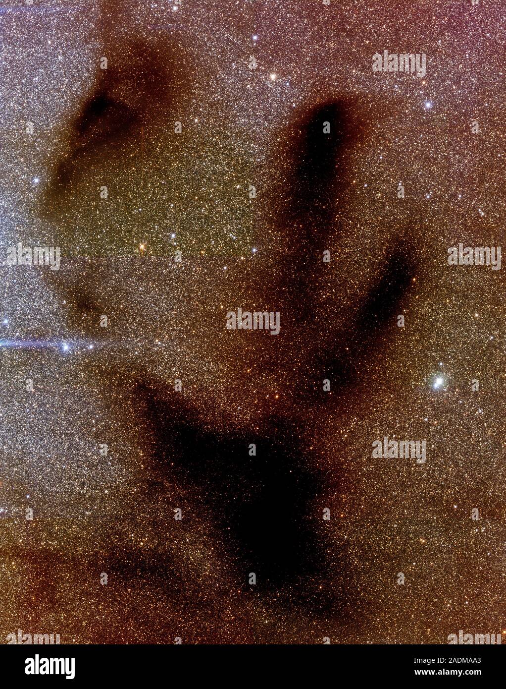 Pipe Nebula. Optical image of part of LDN 1773, or the Pipe Nebula. As ...