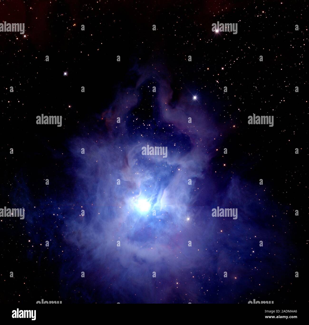 Iris Nebula. Optical image of the Iris Nebula (NGC 7023), a reflection ...