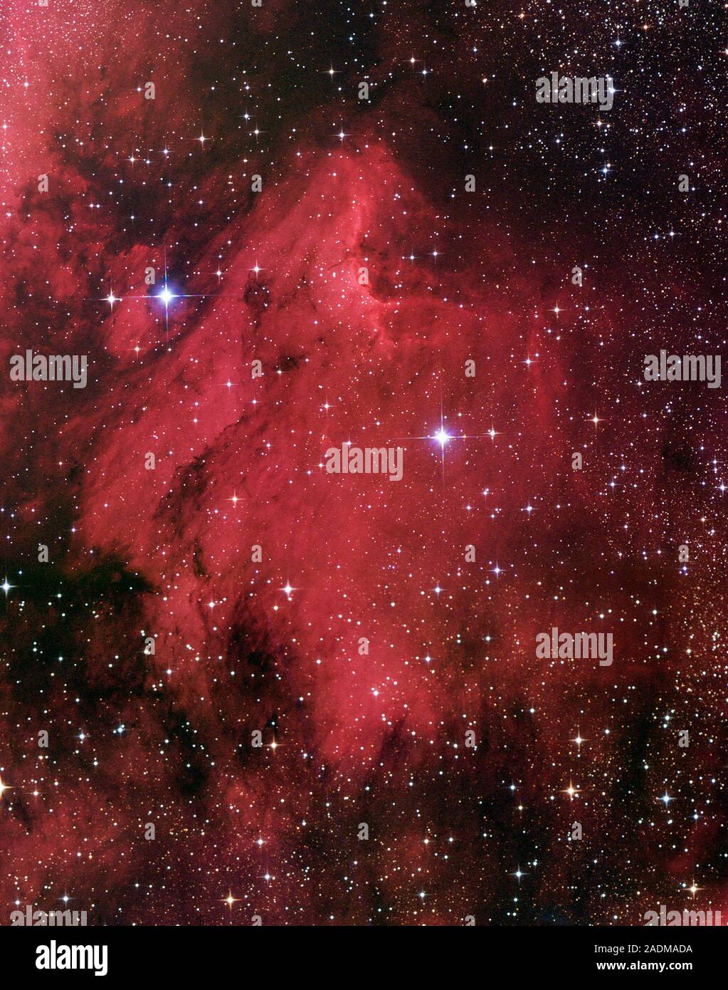 Pelican nebula (IC 5067-5070), optical image. This is a huge region of ...