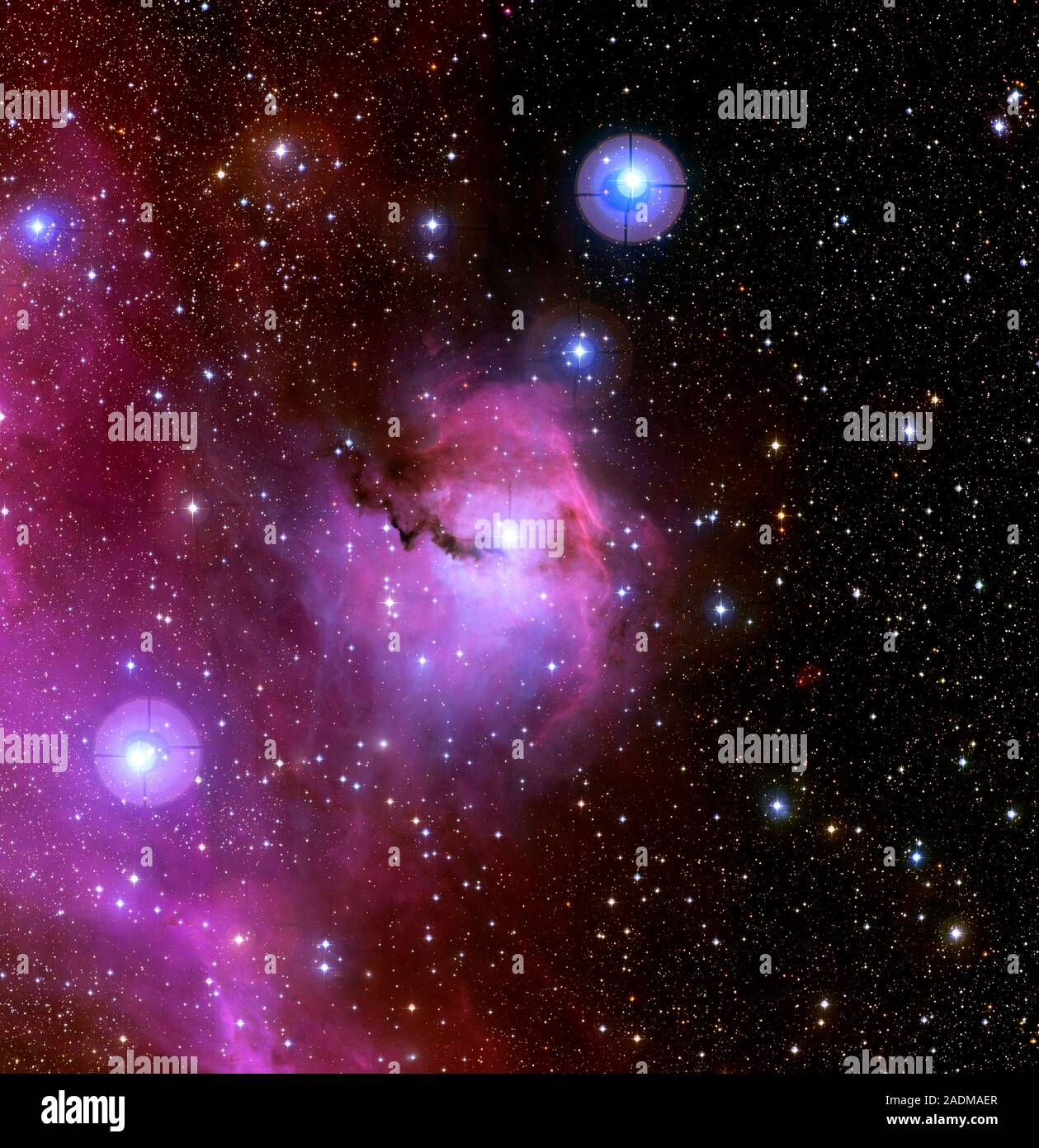 Seagull nebula IC 2177. This optical image shows the seagull's head ...