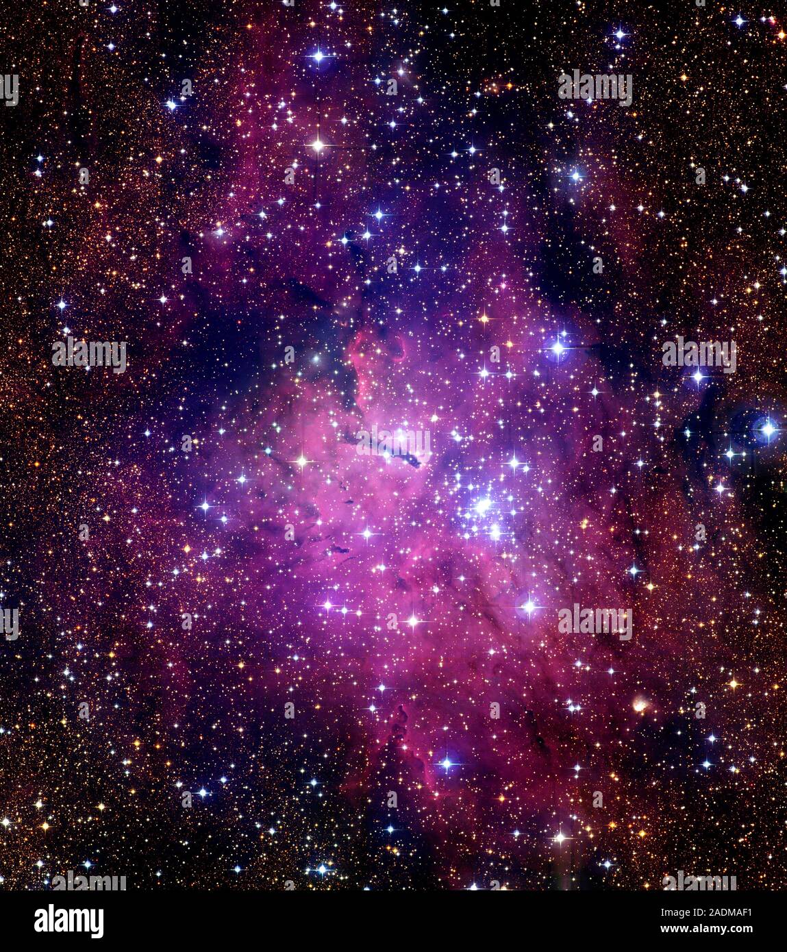 Emission nebula NGC 6870 (optical image). This faint nebula lies about ...