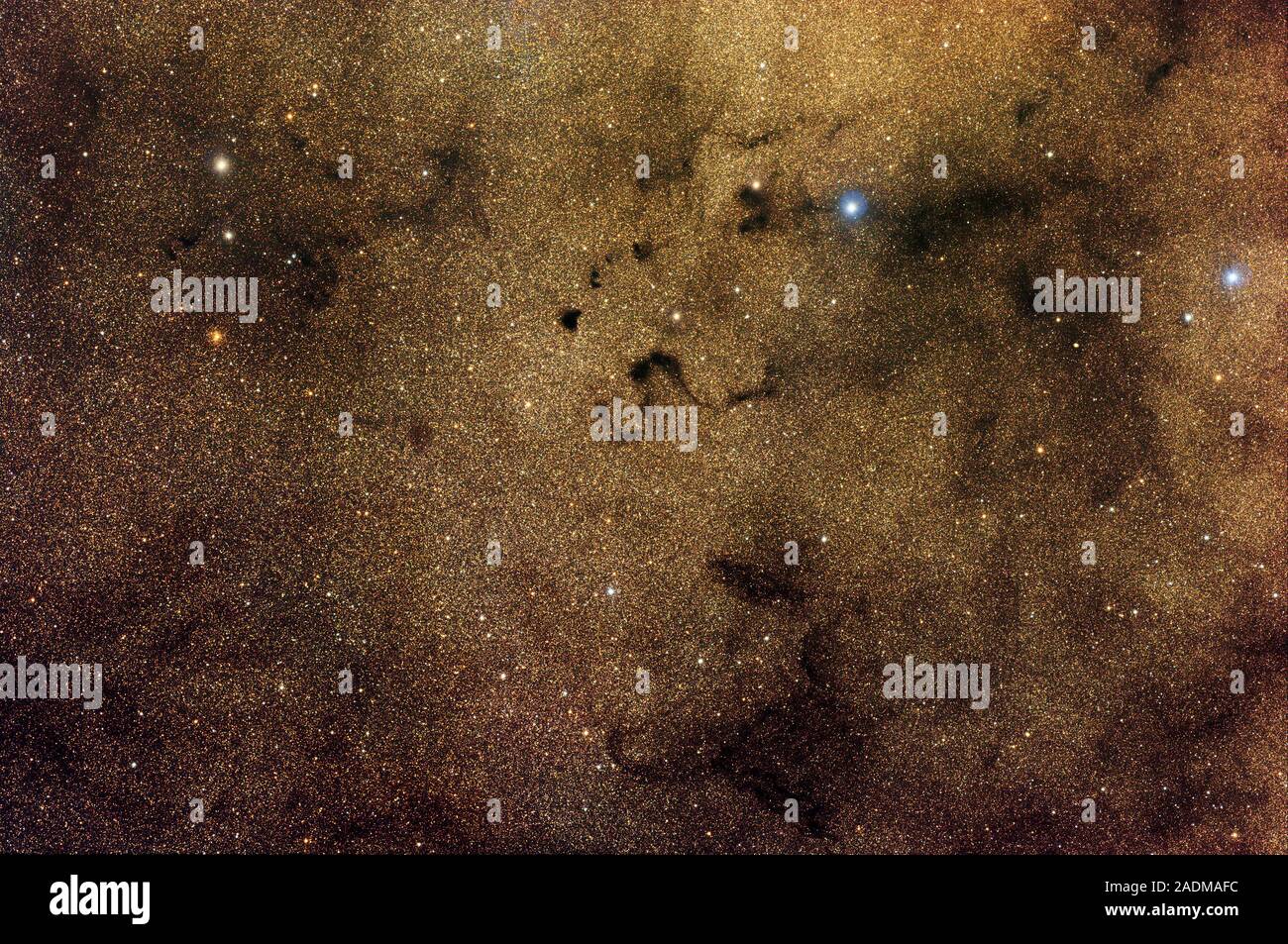 Snake nebula (Barnard 72), optical image. The Snake nebula, seen at ...