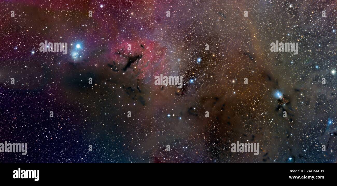 IC 348 and NGC 1333, optical image. The reflection nebula IC 348 is at ...