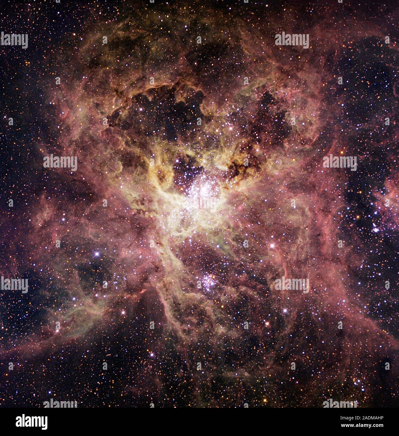 Tarantula nebula, optical image. Also known as 30 Doradus and NGC 2070, the Tarantula nebula is ...