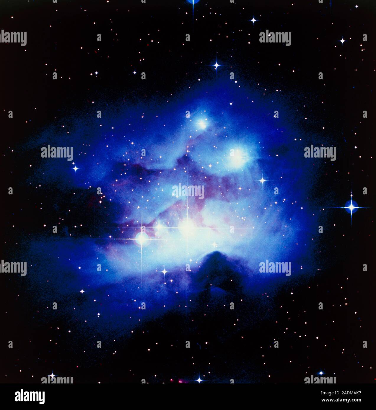 NGC 1977 reflection nebula. True-colour optical image of the nebula NGC 1977, part of the great ...