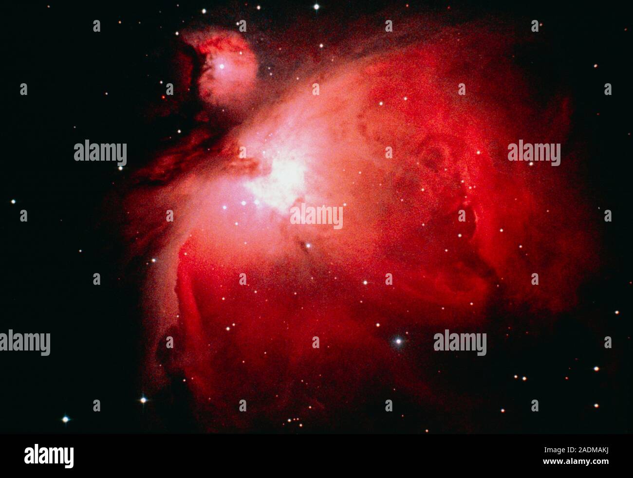 Orion Nebula. The Orion Nebula (M42; NGC 1976) is a huge glowing cloud of dust and gas, most of ...