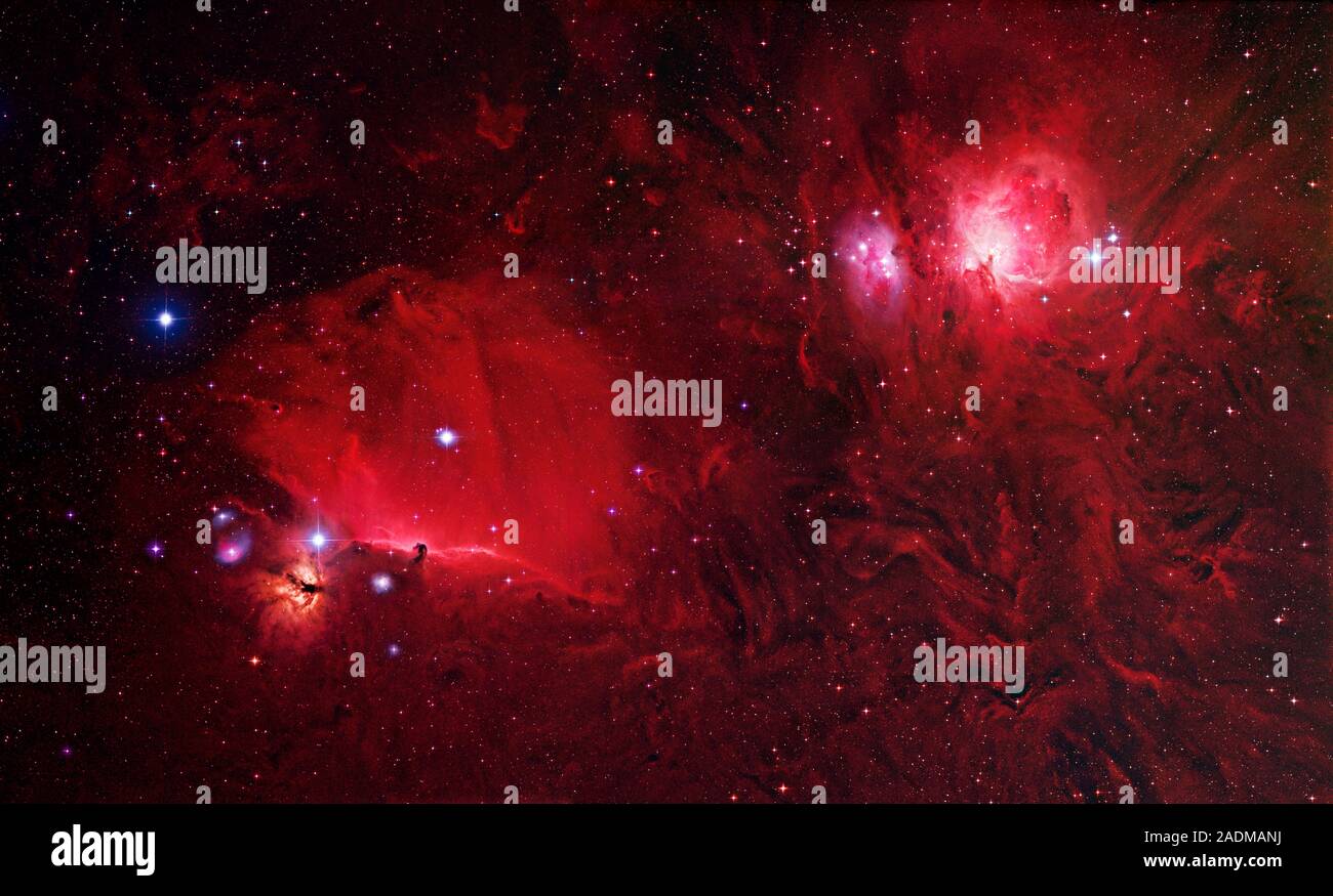 Nebulae in Orion, optical image. North is at left. The image reveals ...