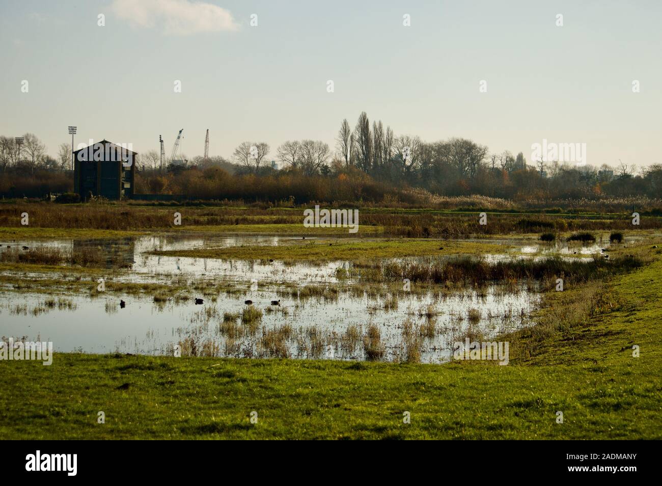 The London Wetland Centre in London, UK Stock Photo - Alamy
