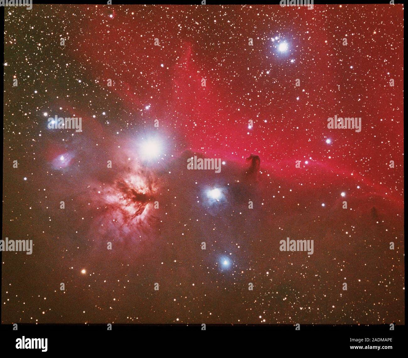 Horsehead Nebula. Optical image of the region around the Horsehead ...
