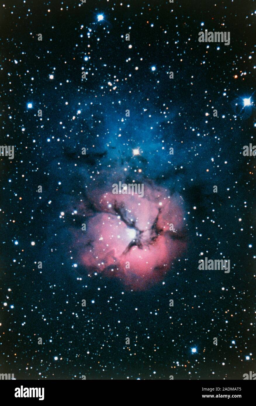 Optical image of the Trifid Nebula (M20, NGC 6514) a cloud of gas and ...