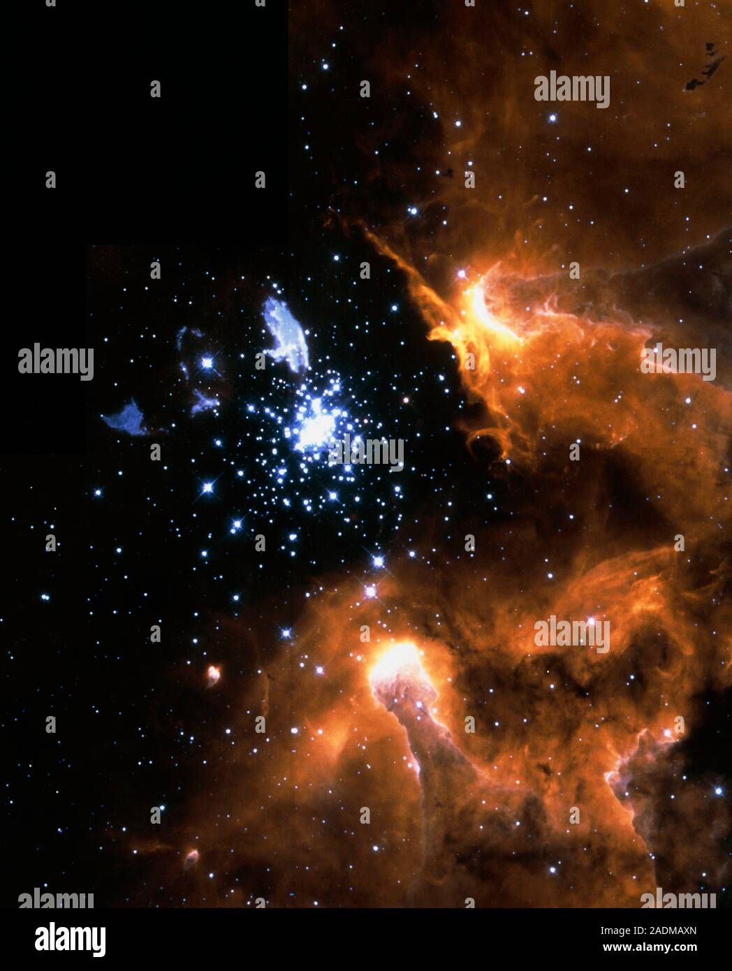 Starbirth nebula. Hubble Space Telescope (HST) image of starbirth ...