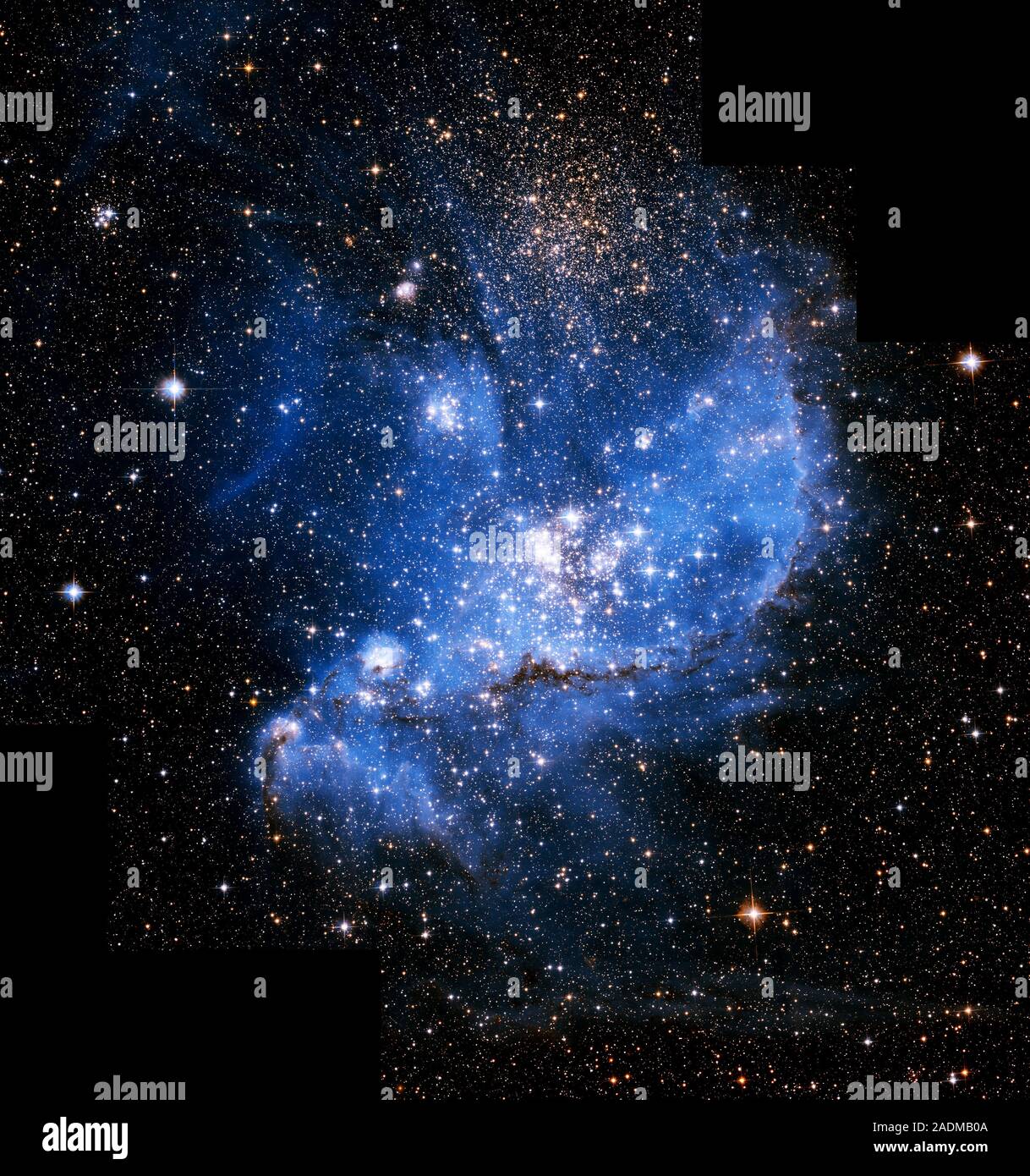 Starbirth region NGC 346, Hubble Space Telescope image. This nebula is in the Small Magellanic ...