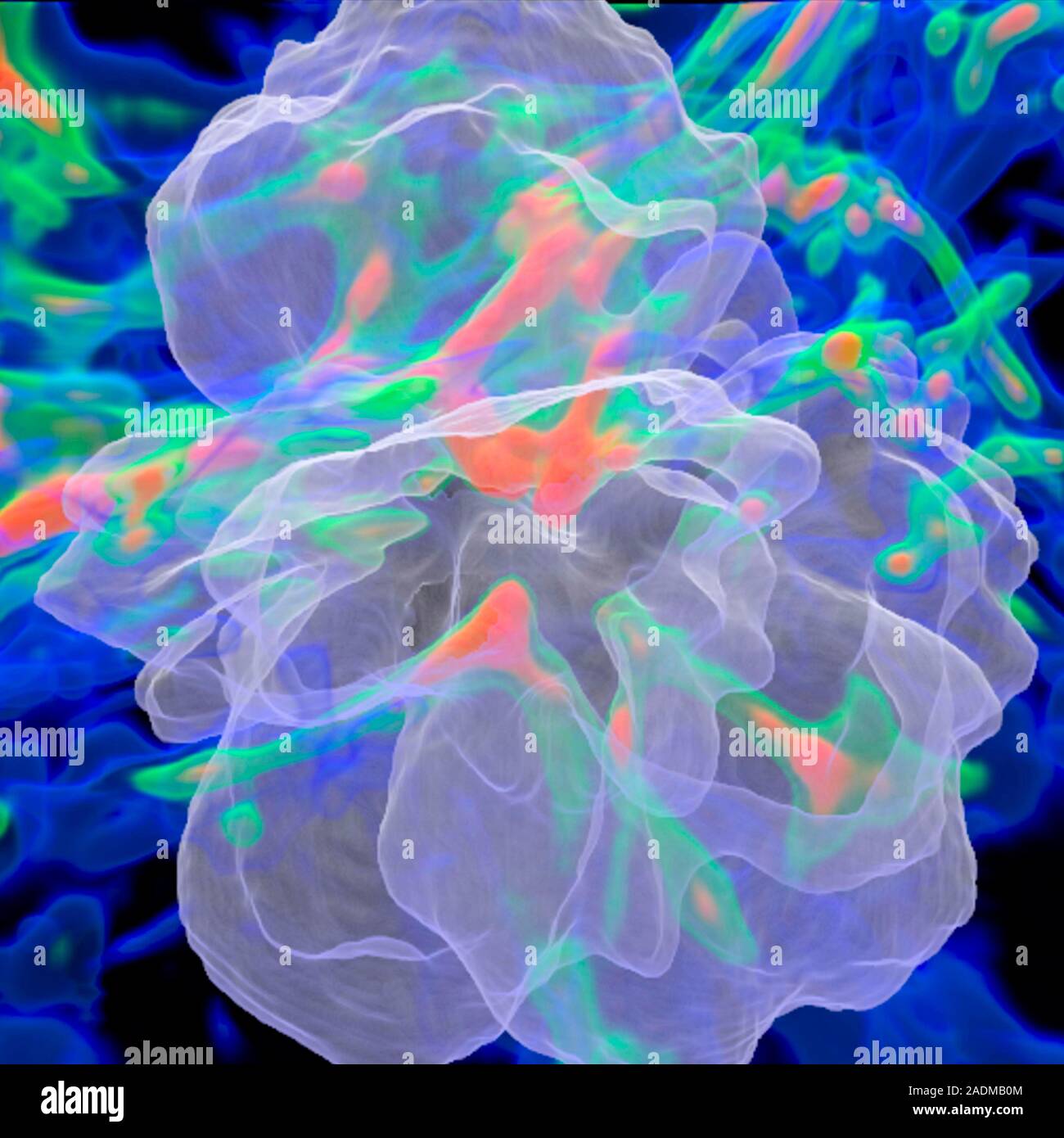 Early star formation, image 2 of 2. Supercomputer simulation of the ...