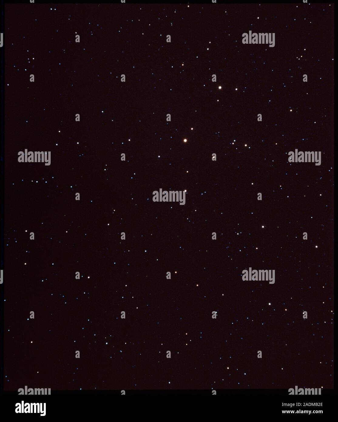 Field of stars in the constellations of Gemini and Cancer. The two ...