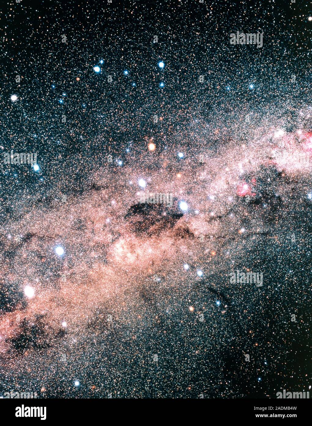 Splendid starfield centred on the constellation of the Southern Cross ...