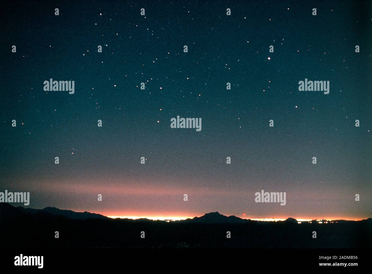 Canis Major constellation. Starfield with the Canis Major or Great Dog ...