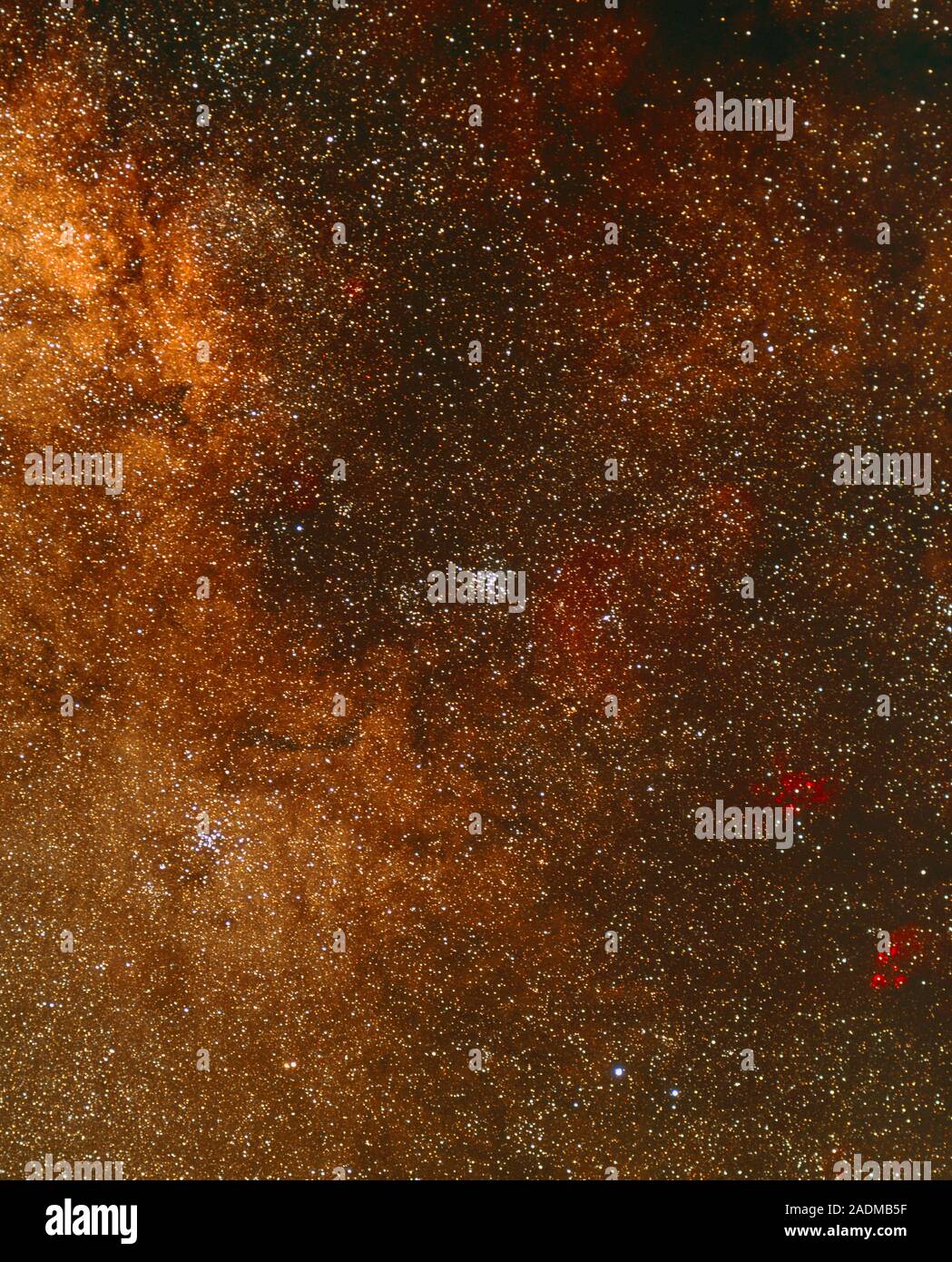 Starfield. View of a starfield in the constellation Scorpius. Part of ...