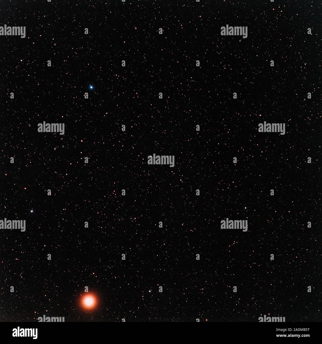 Starfield. Optical image of a starfield in the zodiacal constellation ...