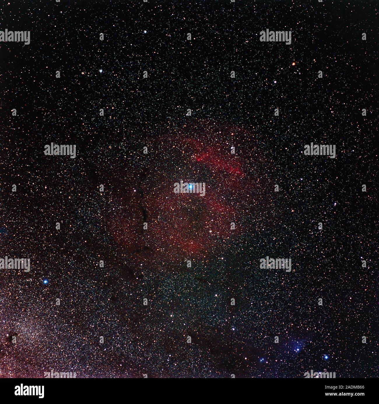 Starfield. Optical image of a starfield in the constellation Ophiuchus ...