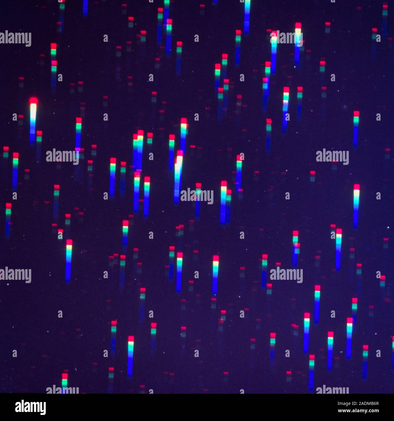 Star spectroscopy, Optical image of the spectra of the stars in the ...