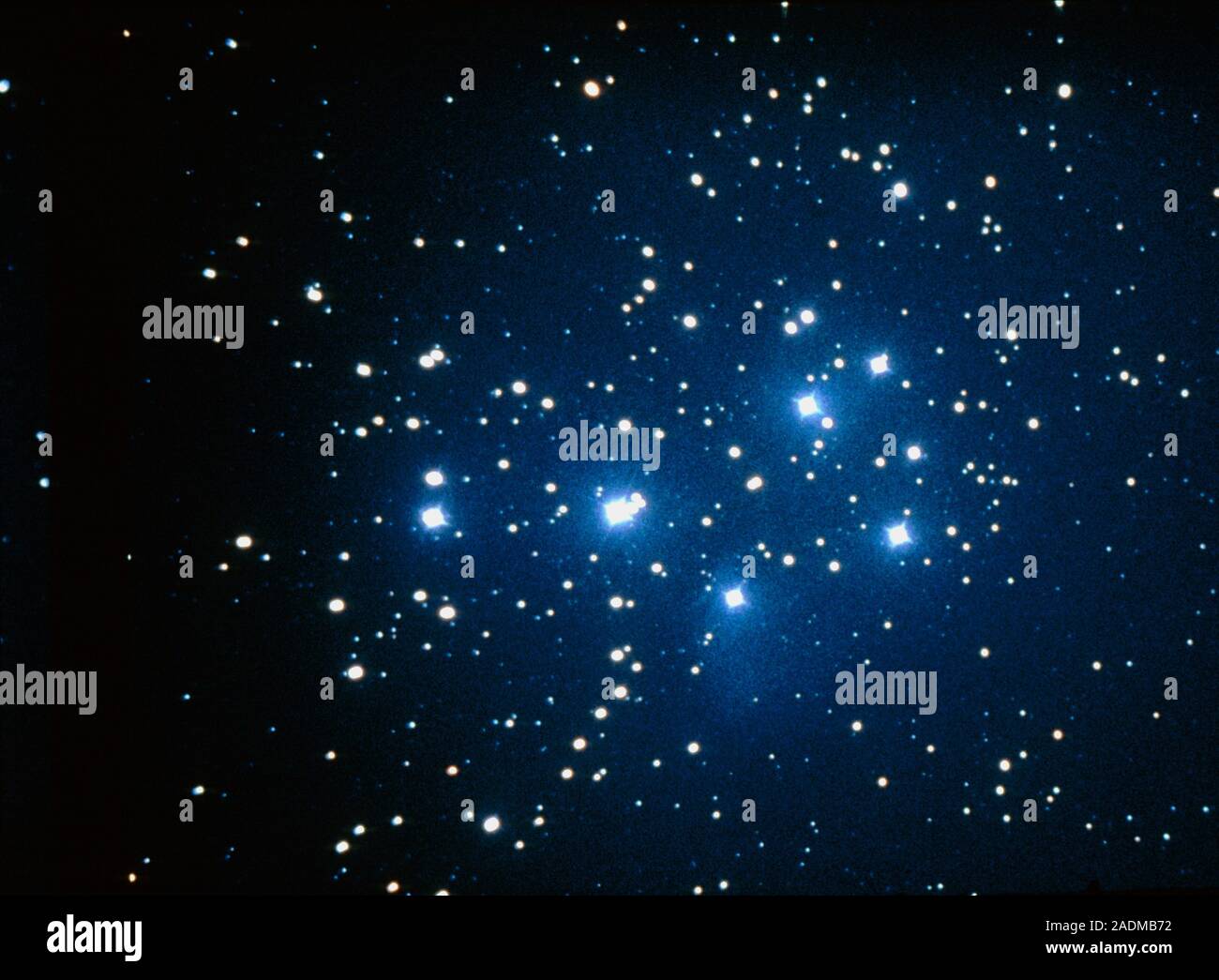 Optical photograph of M45, the Pleiades open star cluster. The brighter ...