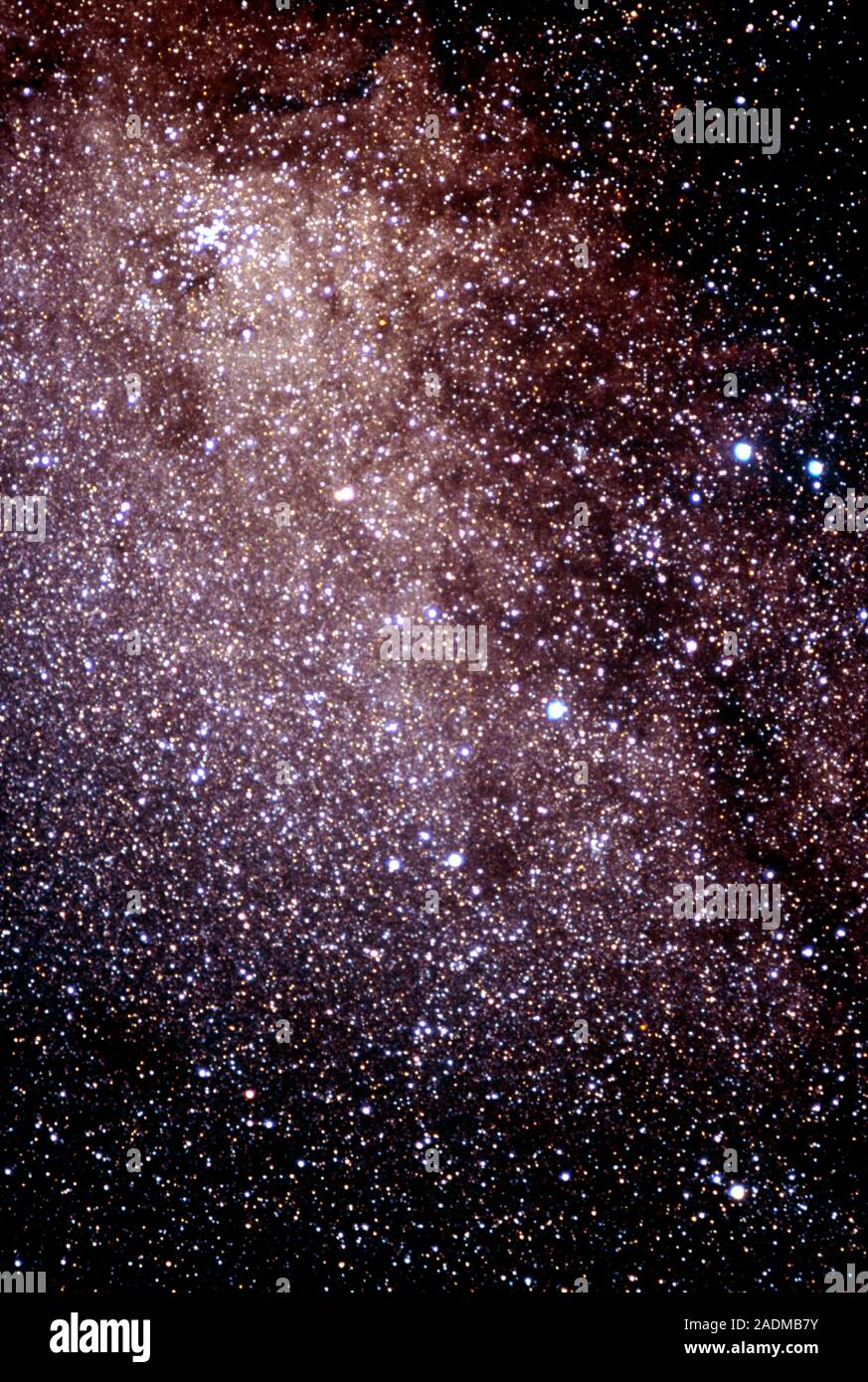 Star cluster. Optical image of the M7 (NGC 6475) open star cluster ...