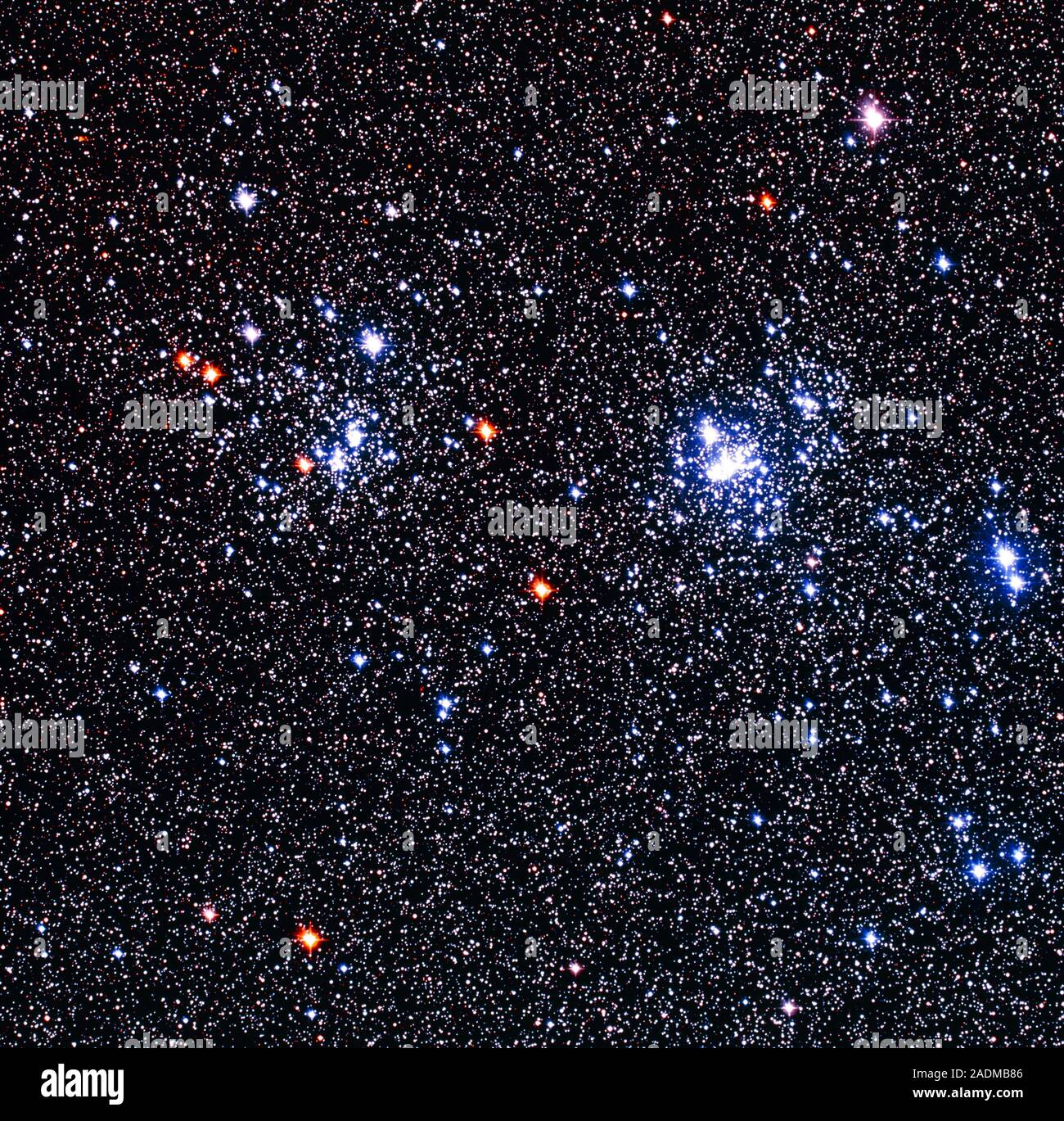 Perseus double cluster. True-colour optical image of the Perseus double star cluster. These open ...