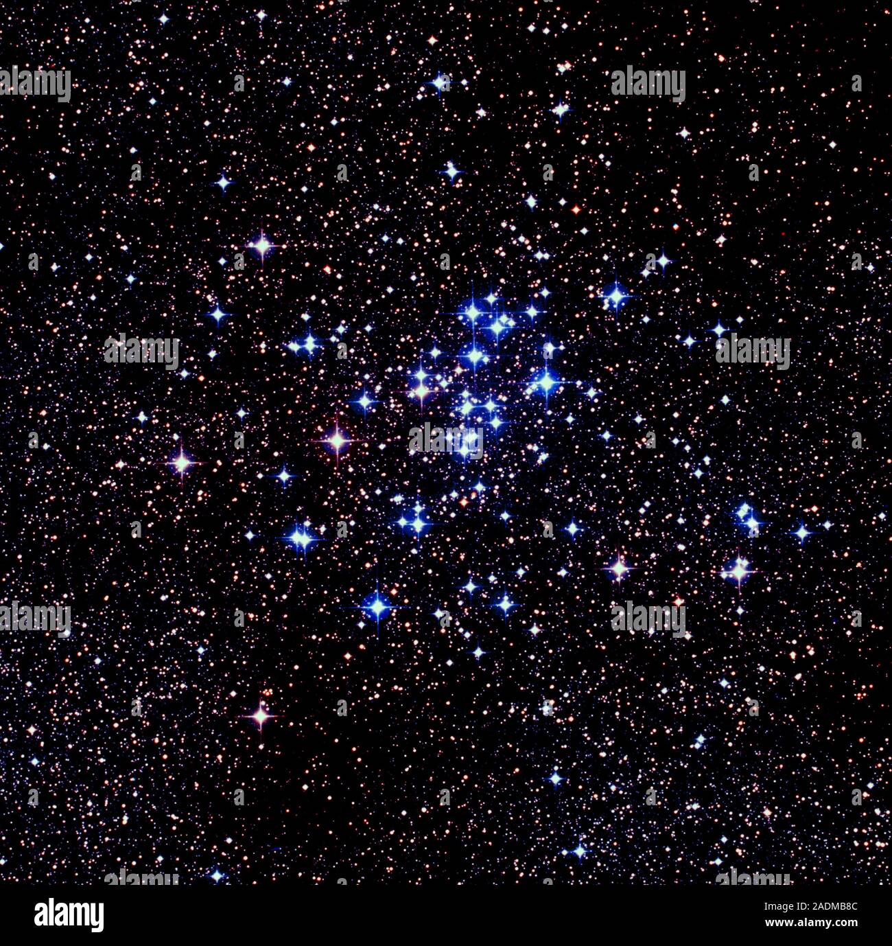 Open star cluster NGC 6124. True-colour optical image of the open star ...