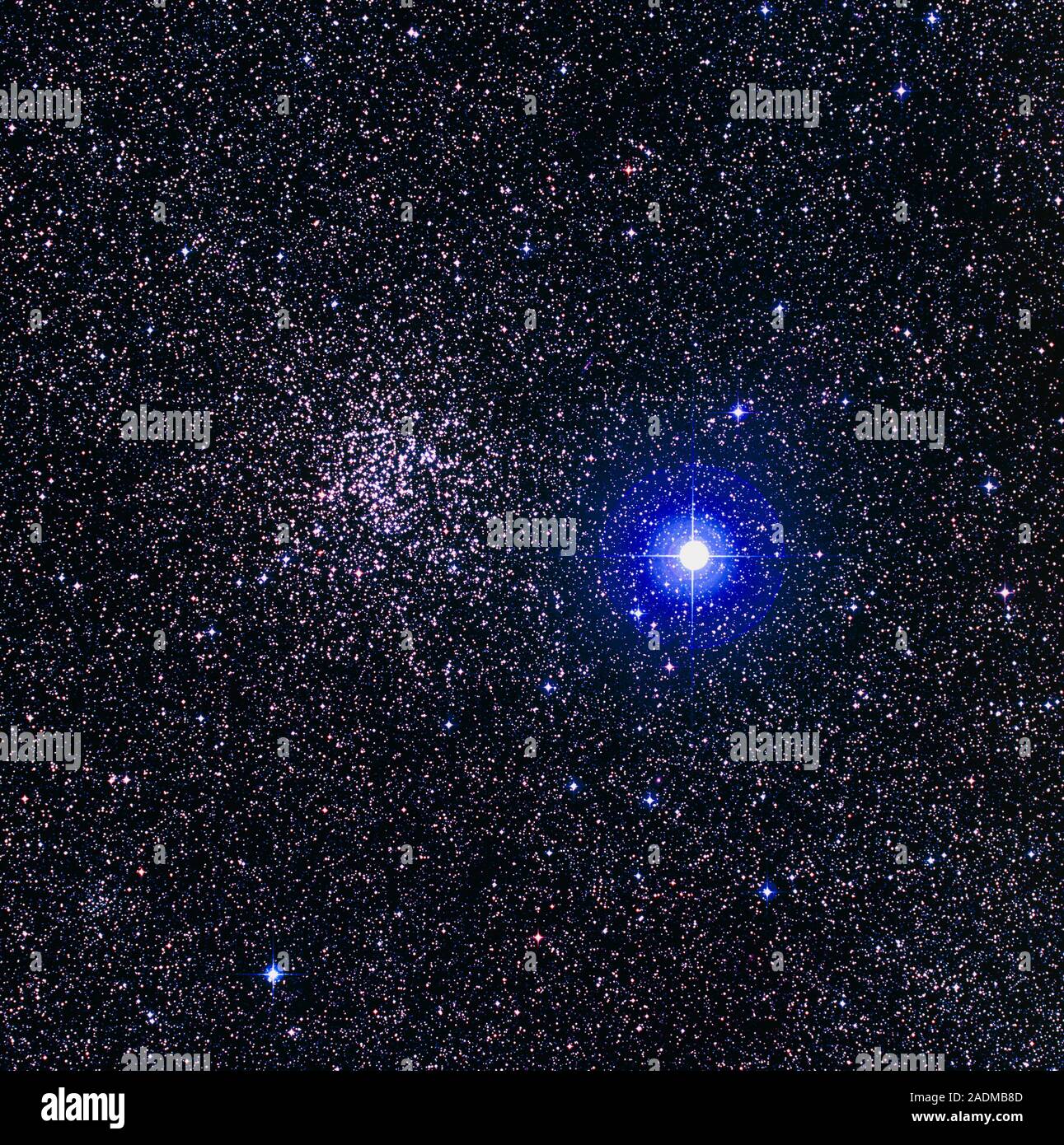 Open star cluster NGC 2477. True-colour optical image of the open star ...