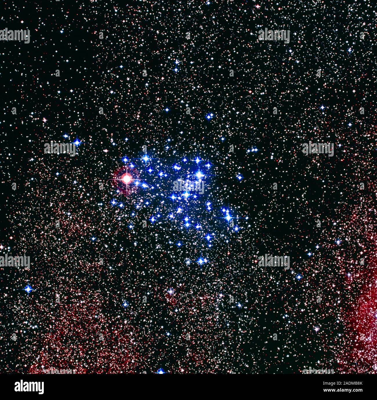 Butterfly star cluster. True-colour optical image of the open star ...