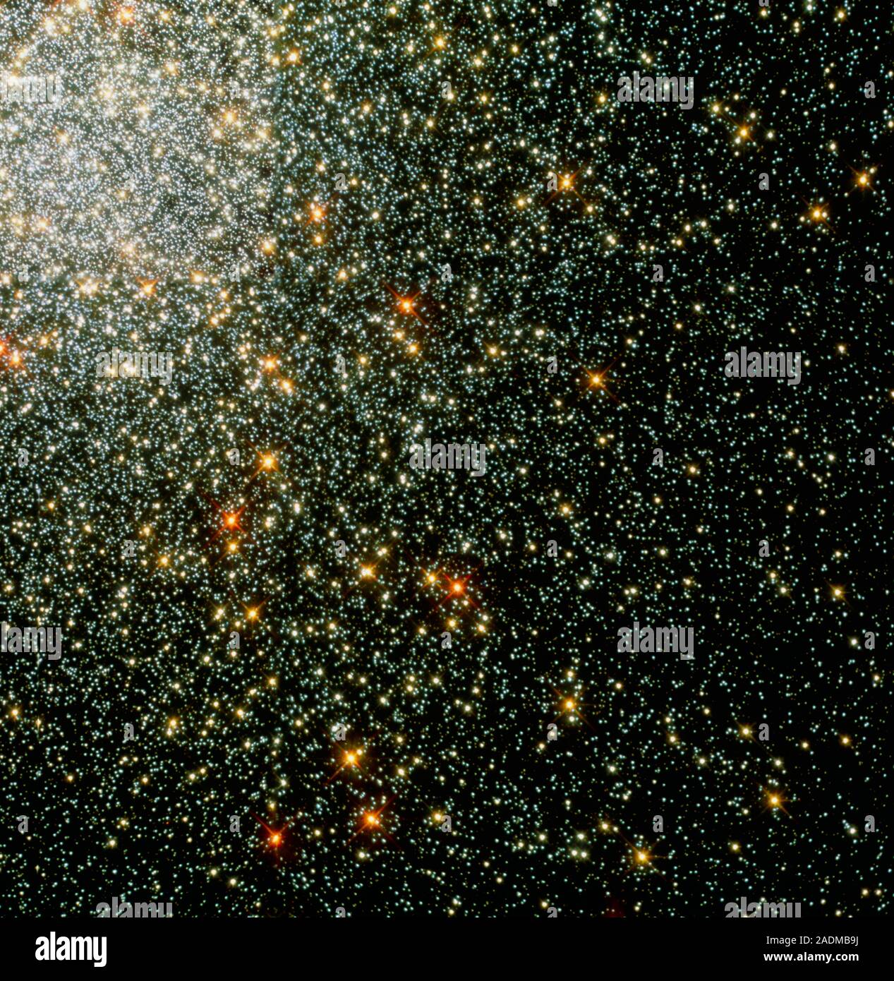 47 Tucanae globular cluster. Hubble Space Telescope (HST) image of the 47 Tucanae globular star ...