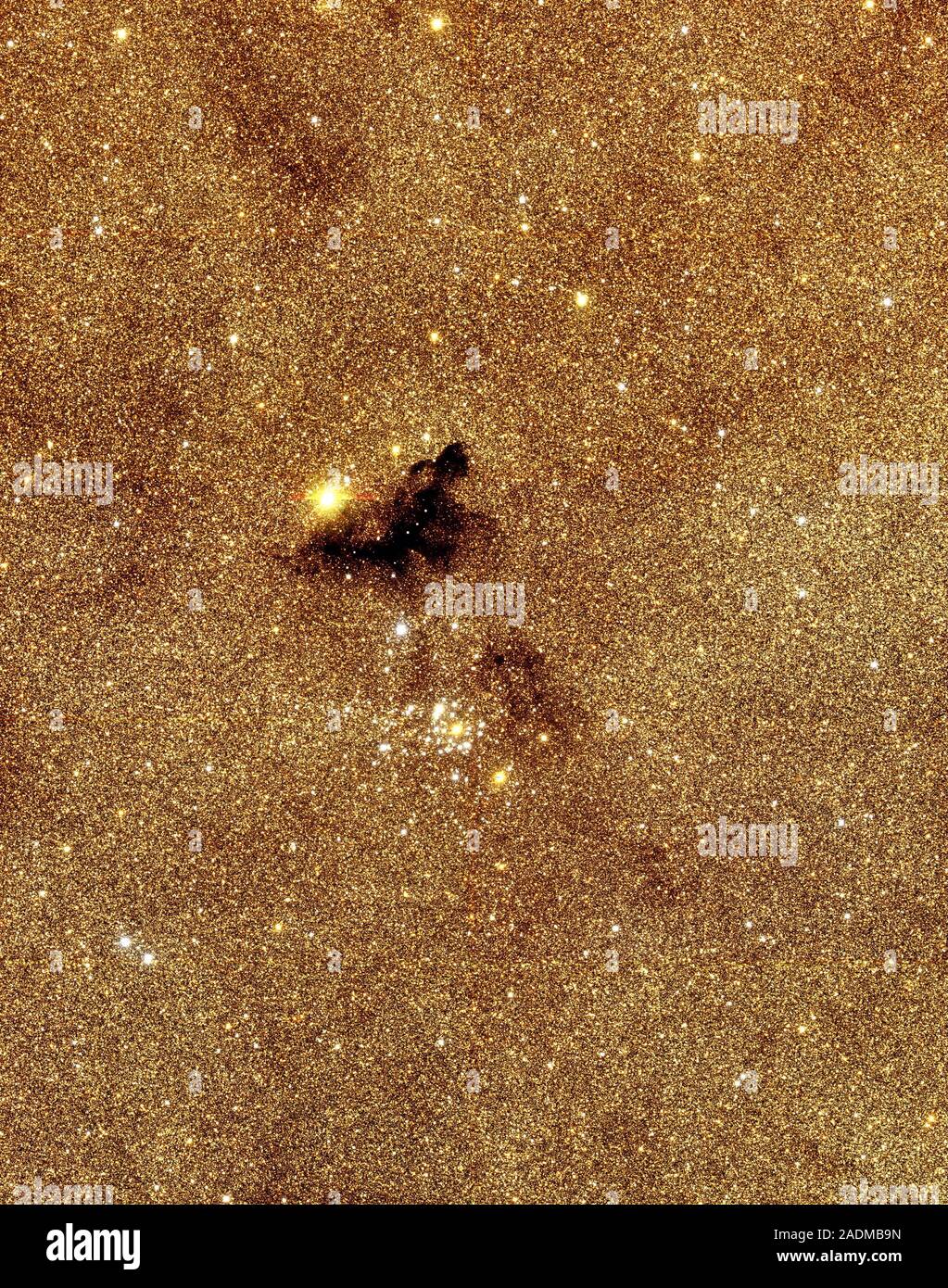 Star cluster NGC 6520. Optical image of the open star cluster NGC 6520 ...