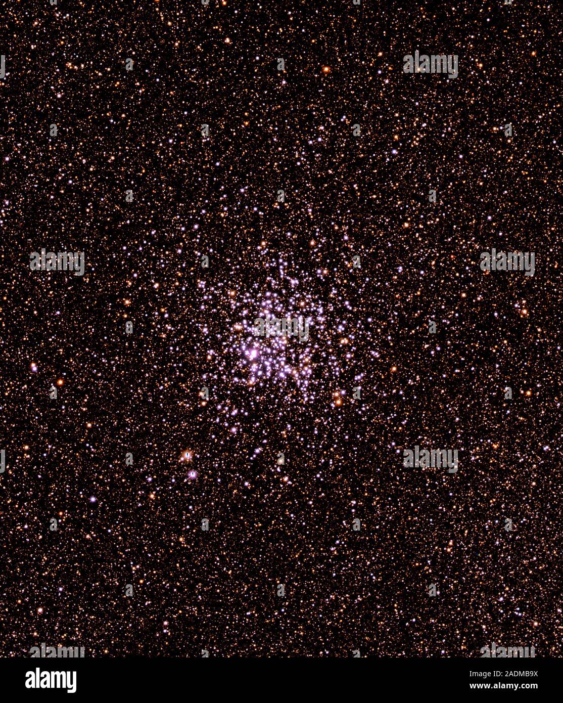 Wild Duck star cluster. Optical image of the Wild Duck star cluster ...