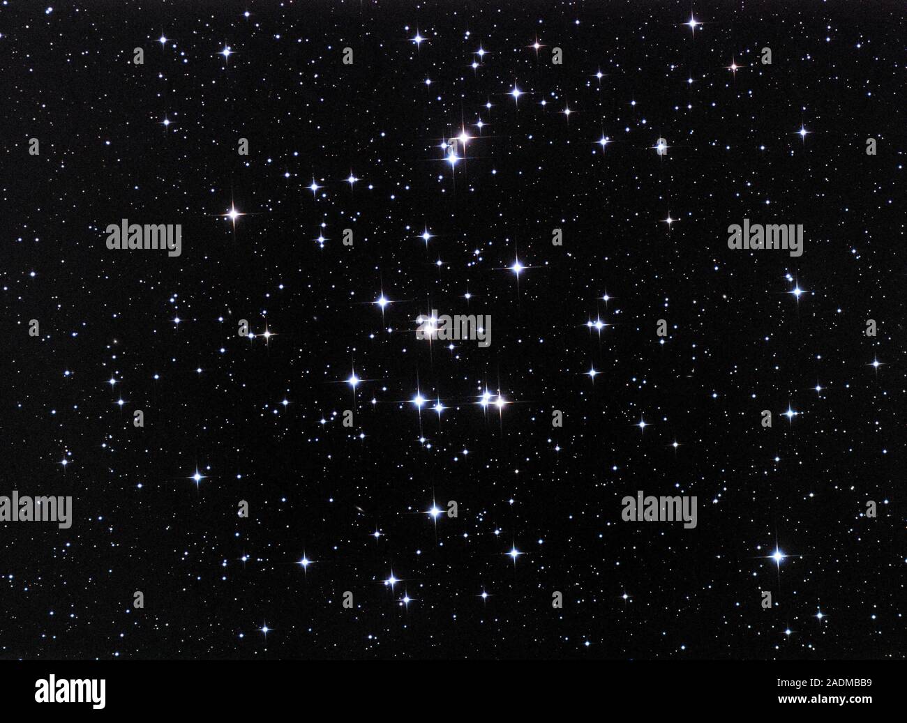 Beehive star cluster (M44), optical image. This cluster is also known ...