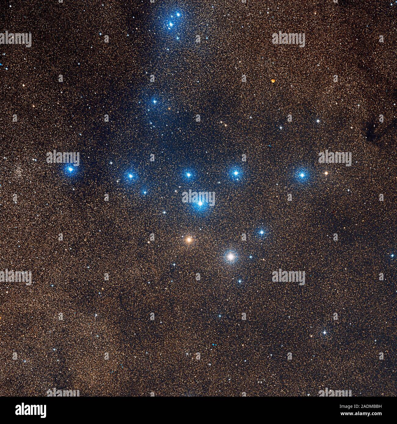 Coathanger star cluster, optical image. This cluster, also known as ...