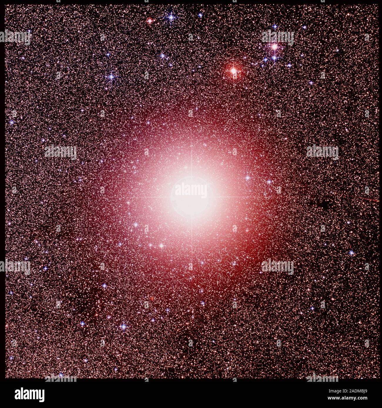 Star Gamma Crucis. True-colour optical image of the star Gamma Crucis ...