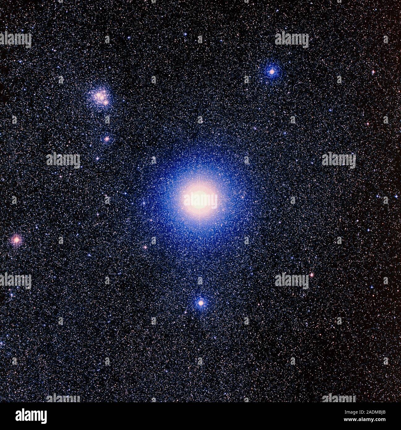 Star Mimosa. True-colour optical image of the blue-white star Mimosa ...